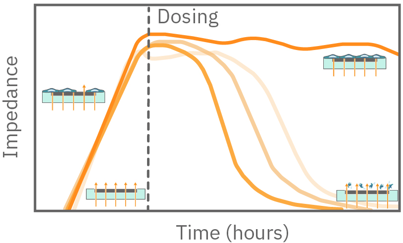 Validation of the Maestro Impedance Assay for Real-Time Cell Counting | Axion Biosystems